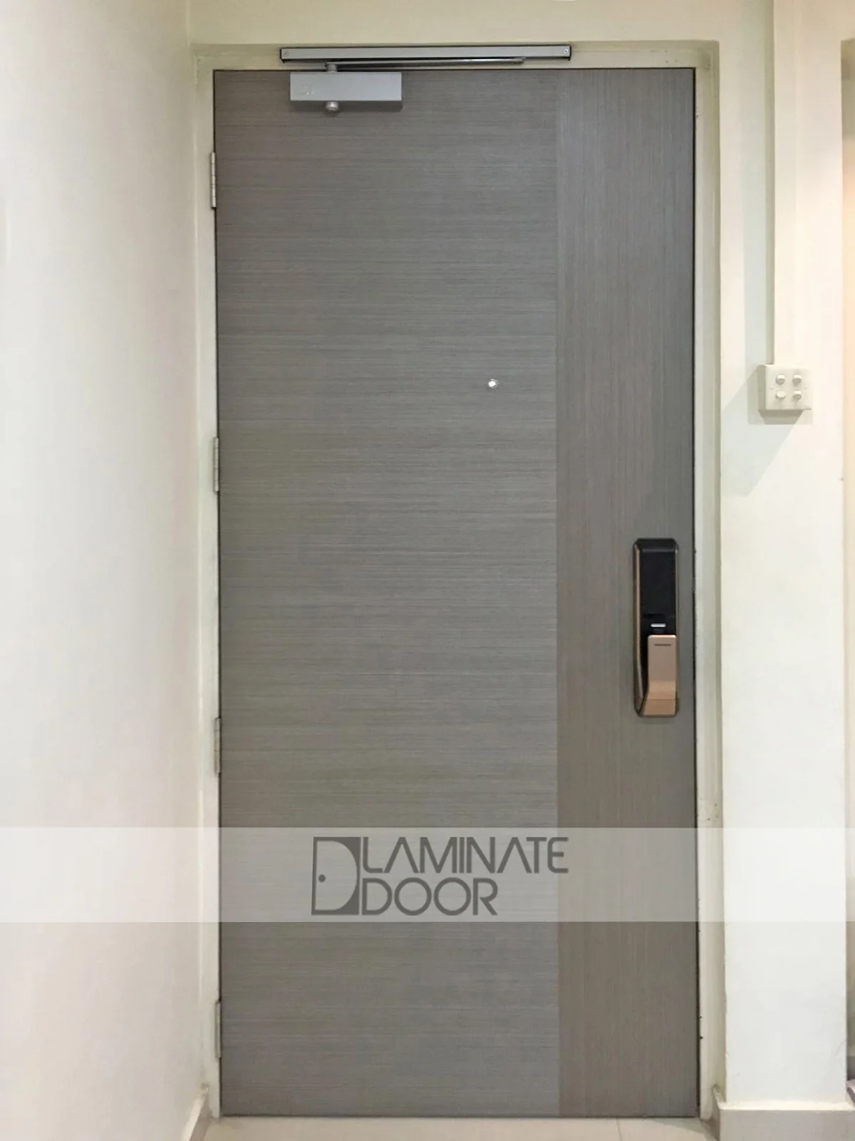 Veneer Single Leaf Main Door | HDB Main Door Manufacturer in Singapore